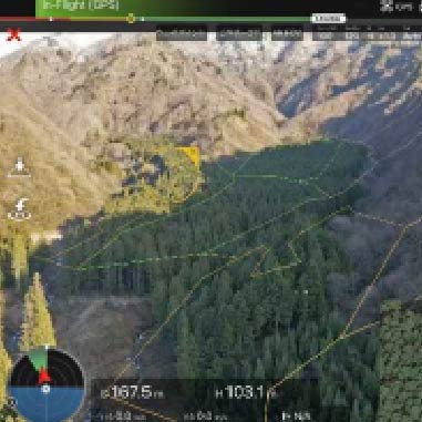 森林向けドローン測量「mapryドローン版」をリリース mapry iOS版やPC版との連携でより多様な解析が可能に｜サービスリリース | 株式会社マプリィ｜ 地理空間情報のアプリプラットフォーム